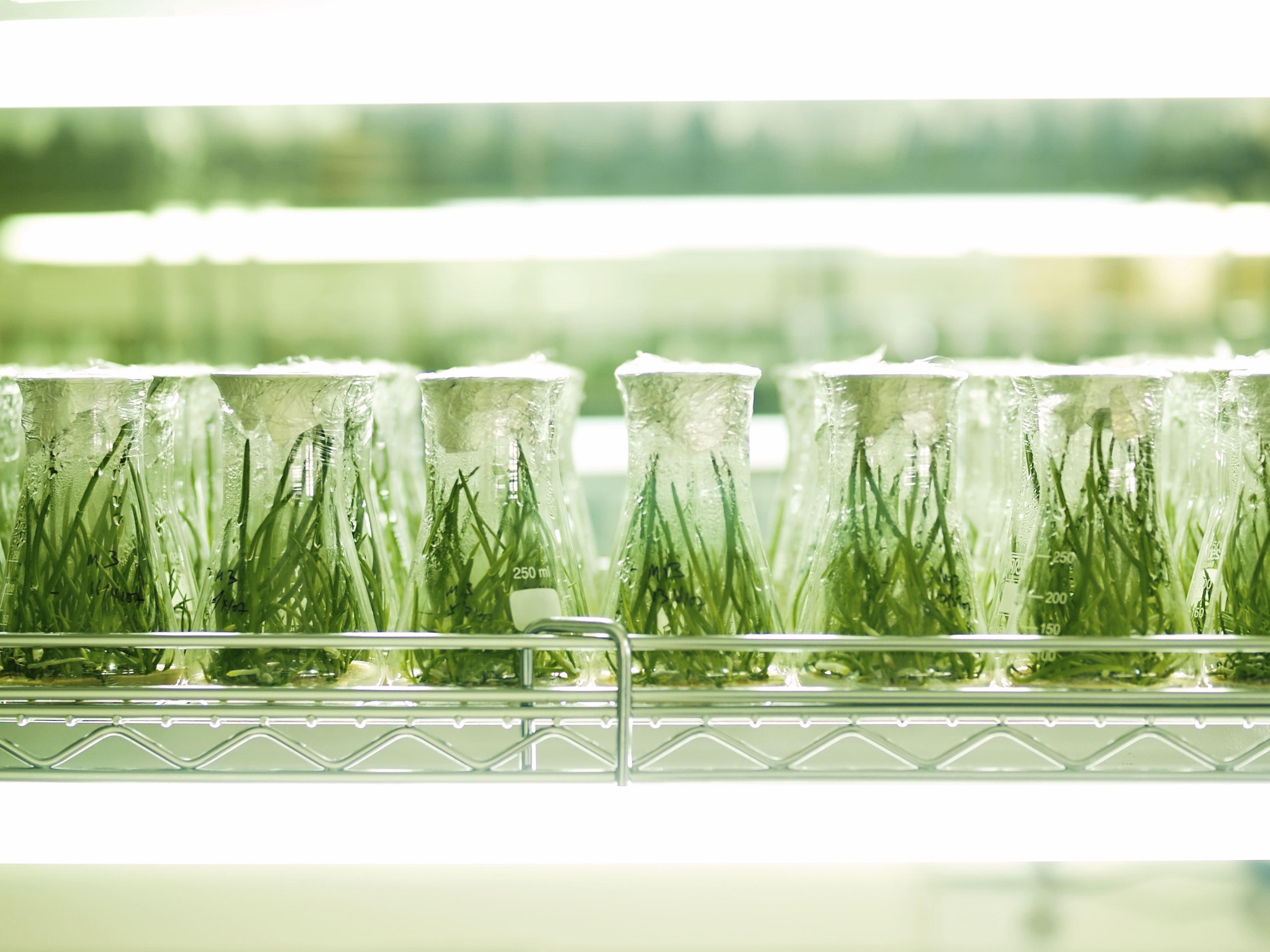 Science aesthetic, Lab aesthetic, Science